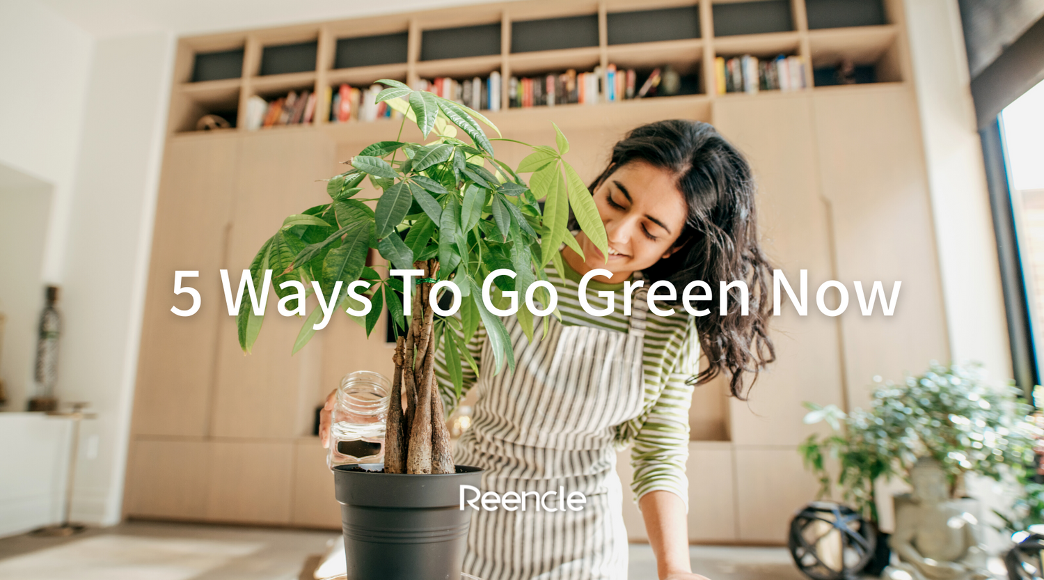 5 Ways To Go Green Now | Reencle Malaysia